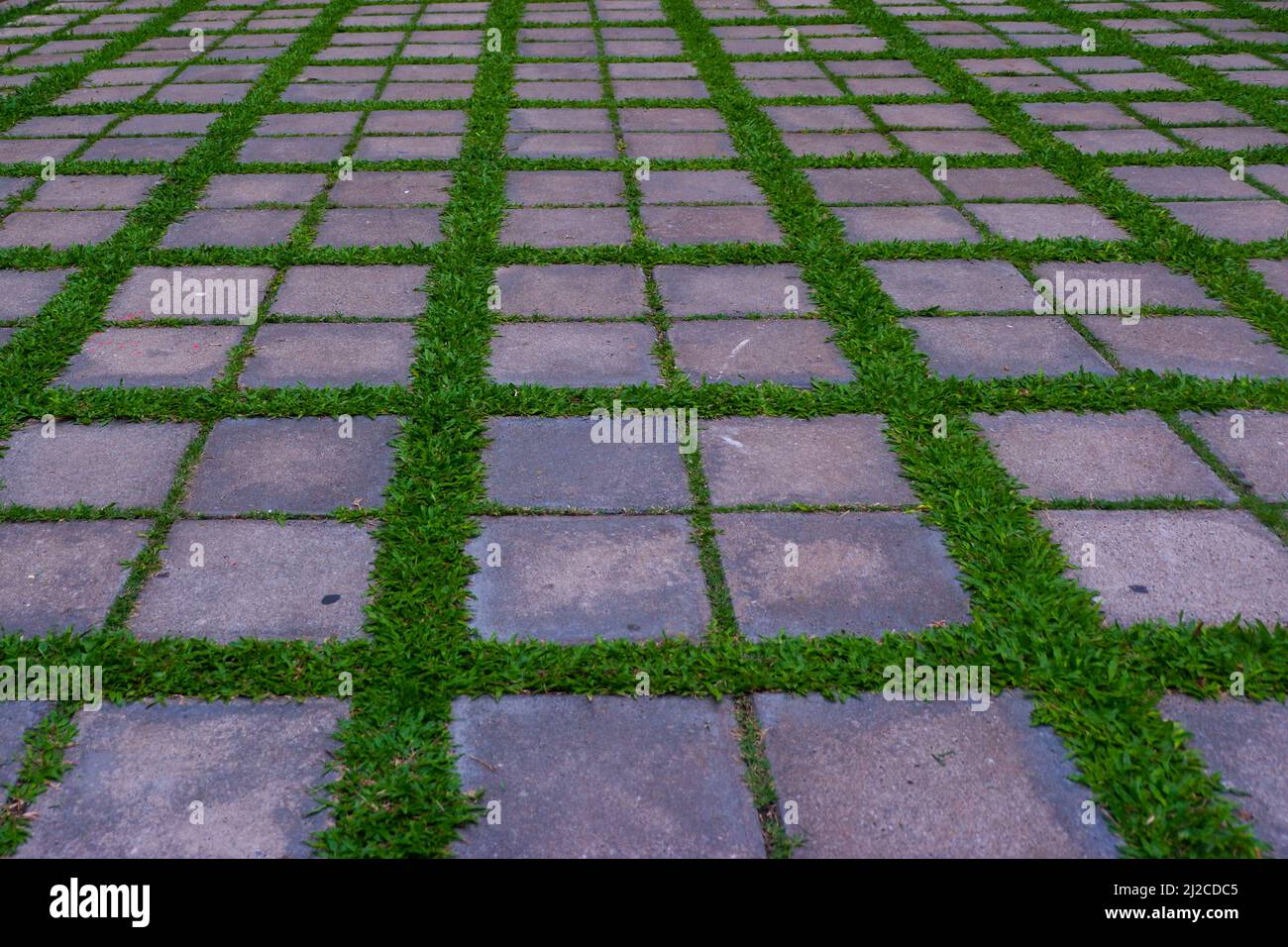 The bricks and grass on the ground Stock Photo - Alamy