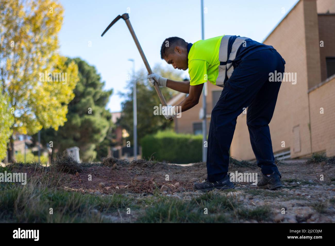 A Hispanic male gardener in work clothes digging the soil with a sickle ...