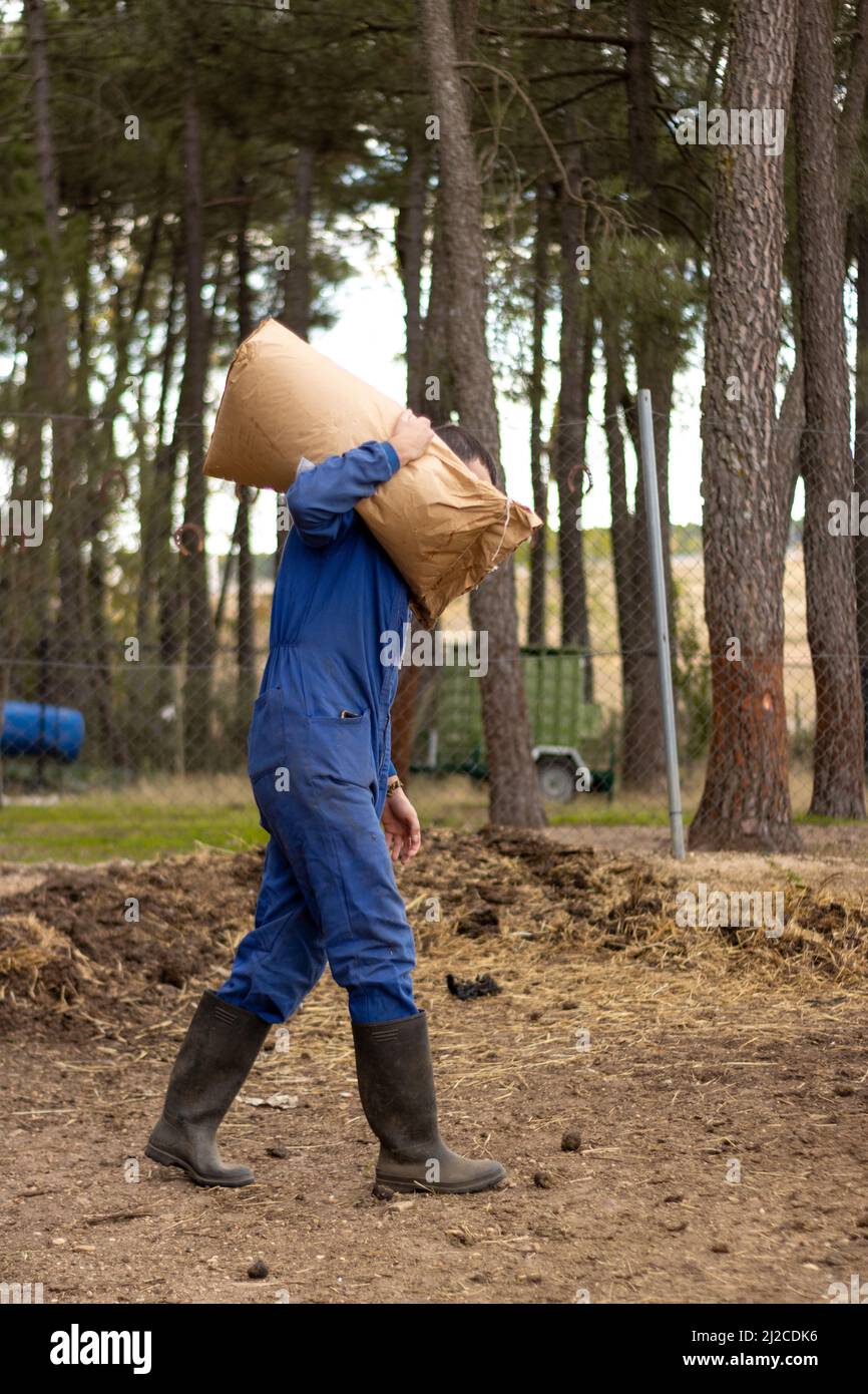 Man carrying sack on shoulder hi-res stock photography and images - Alamy