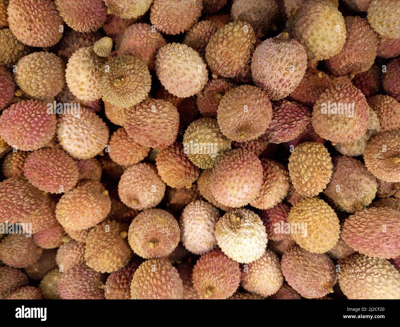 Lychee and china and tree hi-res stock photography and images - Alamy