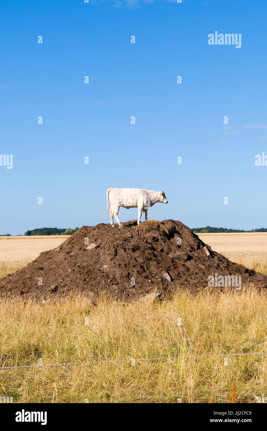 Up uppe hi-res stock photography and images - Alamy