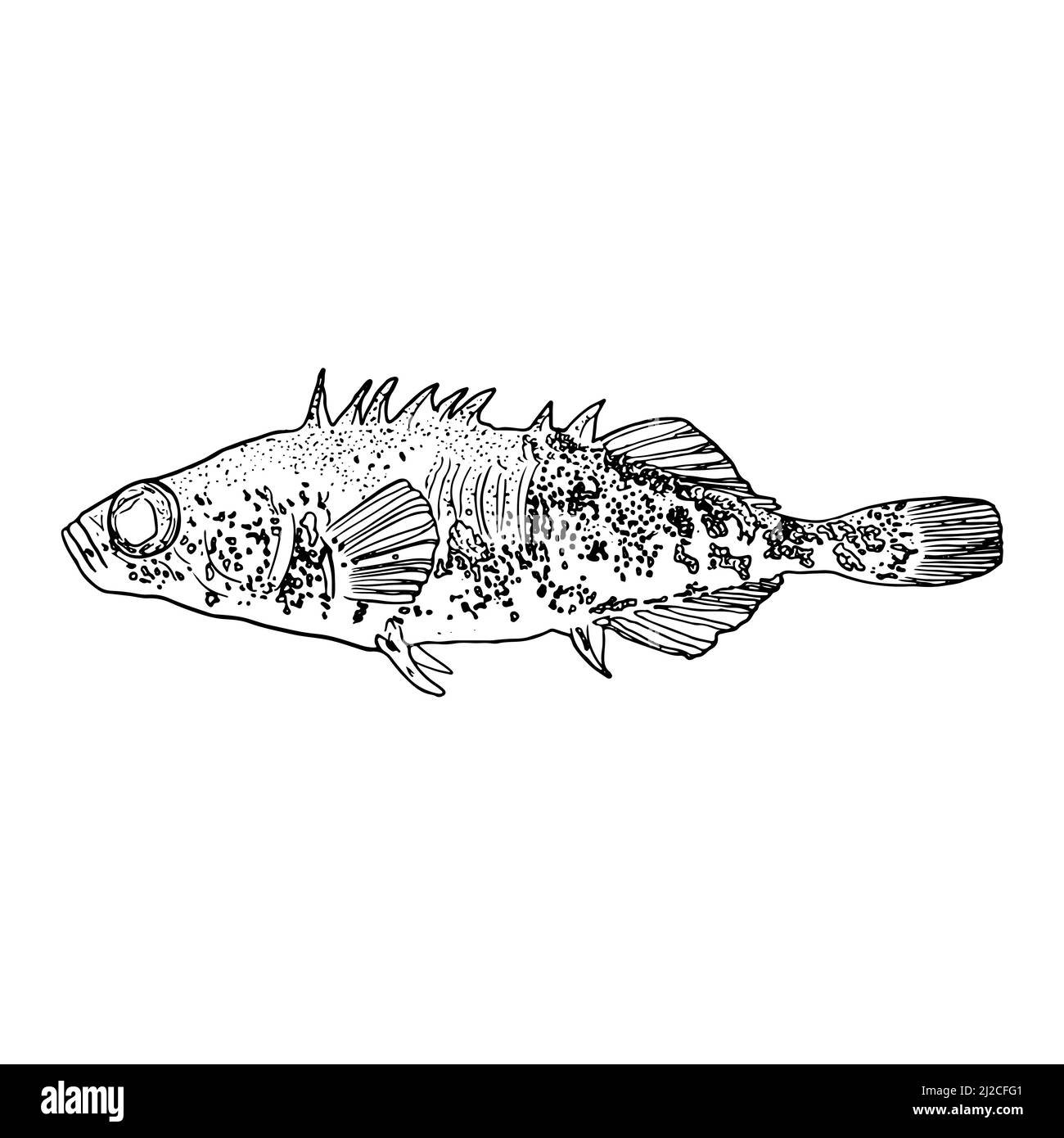 Fish on the line isolated Stock Vector Image & Art - Alamy