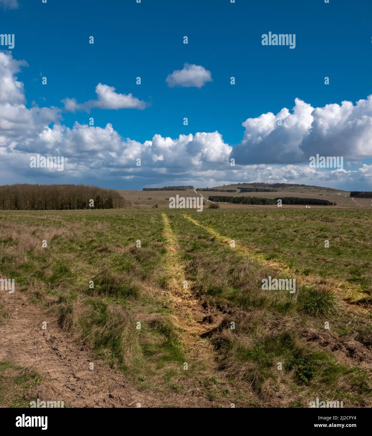 british army challenger 2 II main battle tank tracks in the grass ...