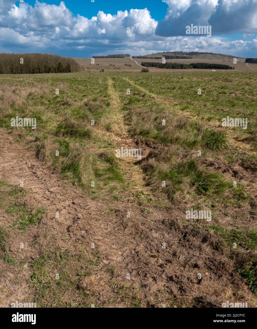 british army challenger 2 II main battle tank tracks in the grass ...