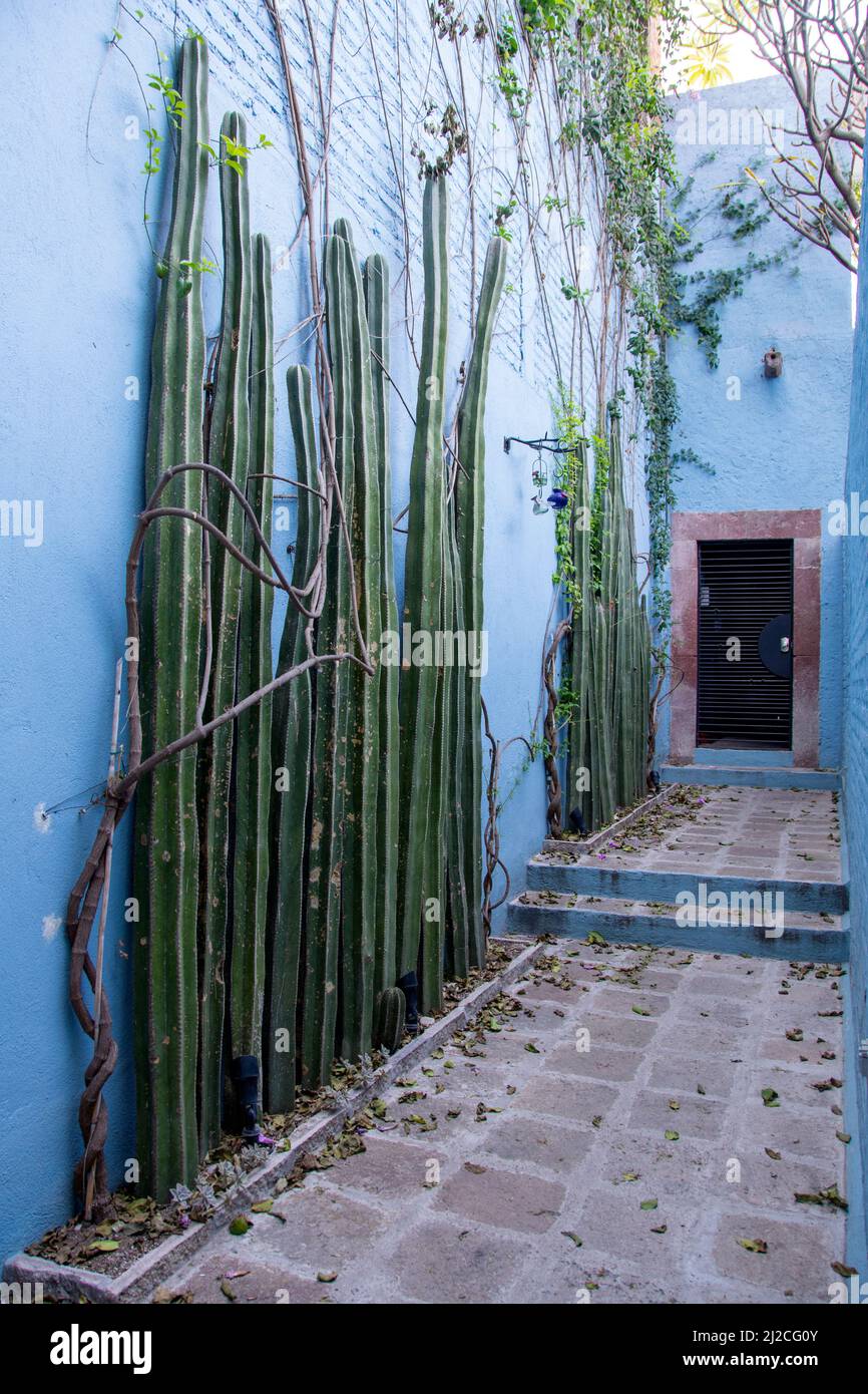 Entrance or exit of a home airbnb residence house structure hi-res ...