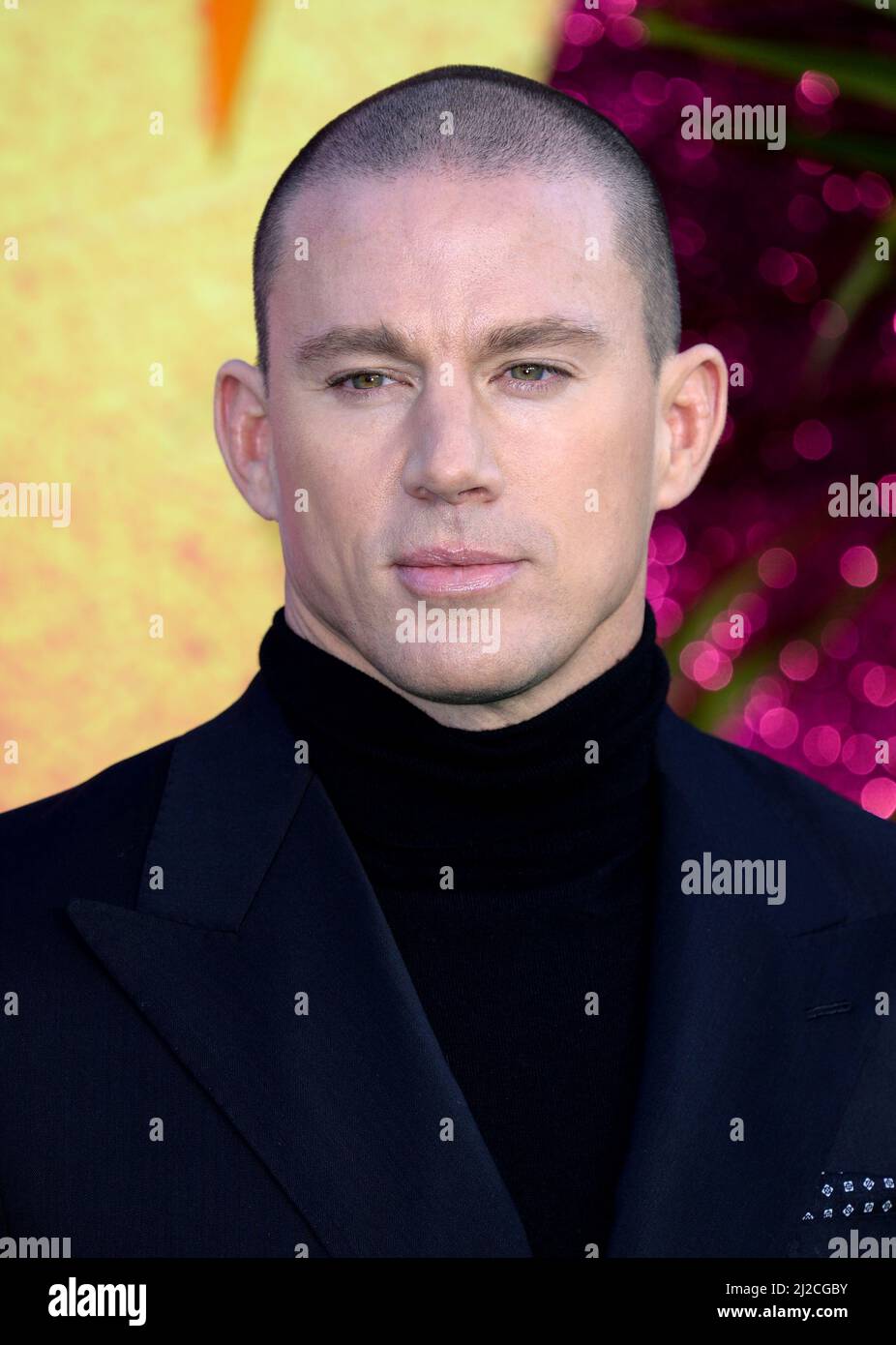 Channing tatum headshot hi-res stock photography and images - Alamy
