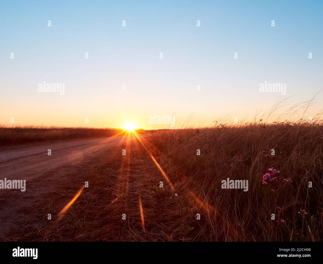 Sunrise in field with path on early autumn morning Stock Photo - Alamy