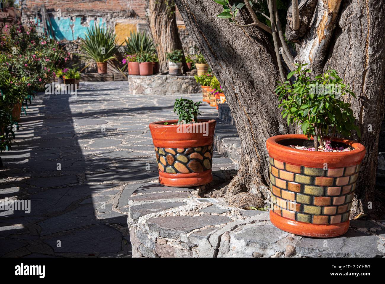 Guanajuato patio hi-res stock photography and images - Alamy