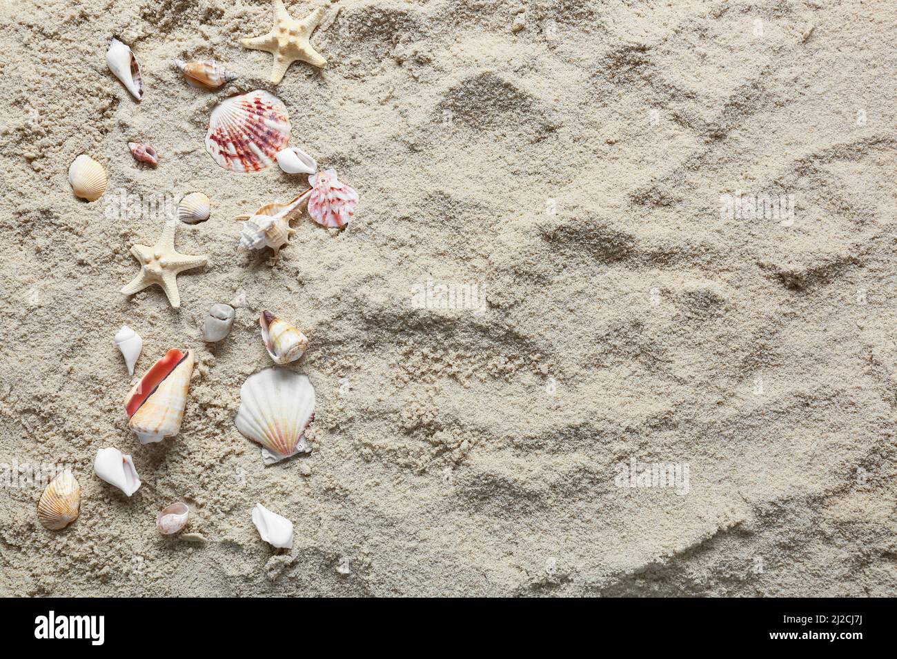 Many different sea shells on beach sand, top view Stock Photo - Alamy