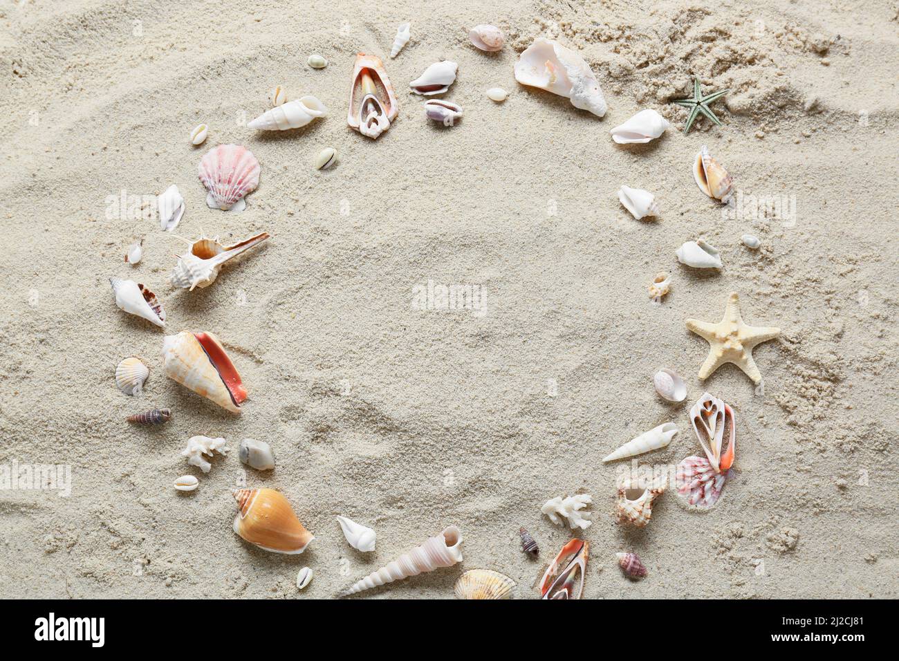 Frame made of many different sea shells and starfish on beach sand, top ...