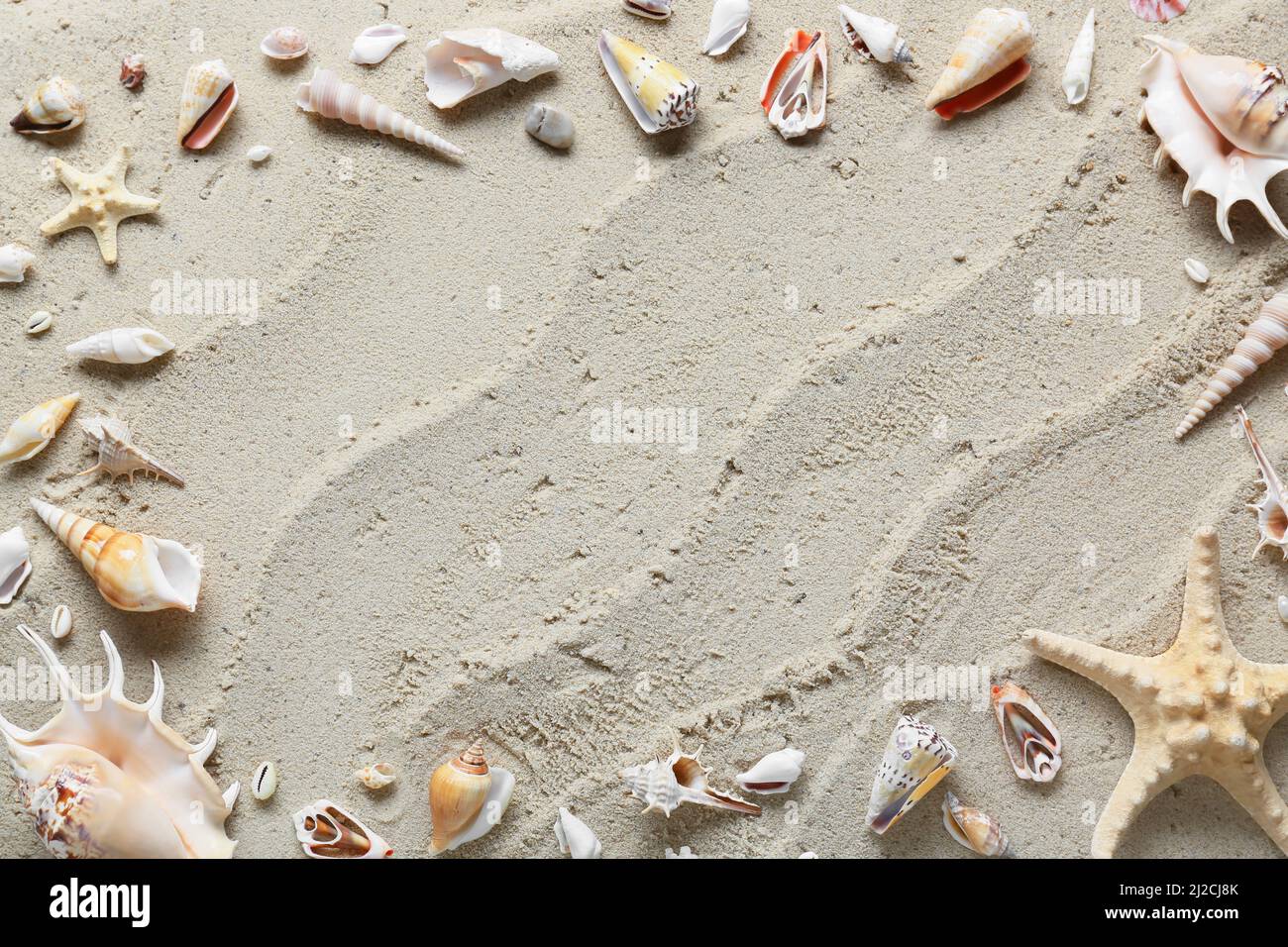 Frame made of many different sea shells and starfish on beach sand ...