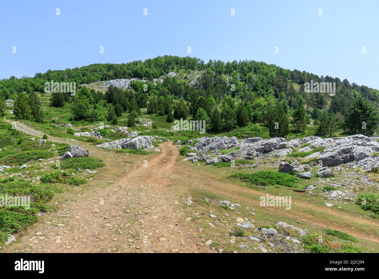 Old road in european mountains countryside in summer hiking season ...