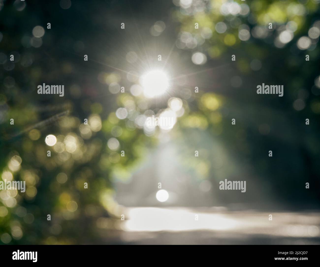 Natural blurred background with bokeh and sun light Stock Photo - Alamy