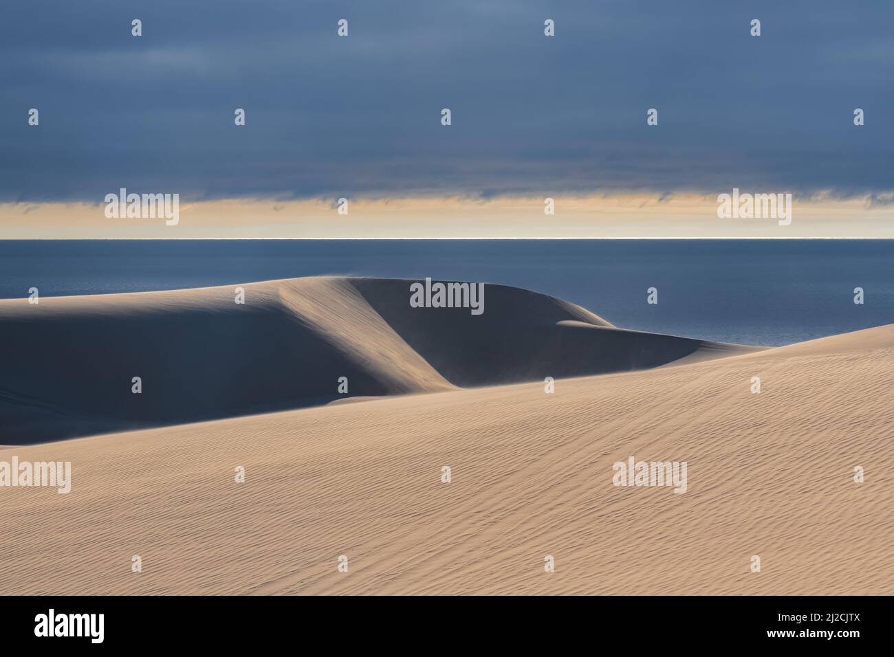 Namibia, the Namib desert, landscape of yellow dunes falling into the ...