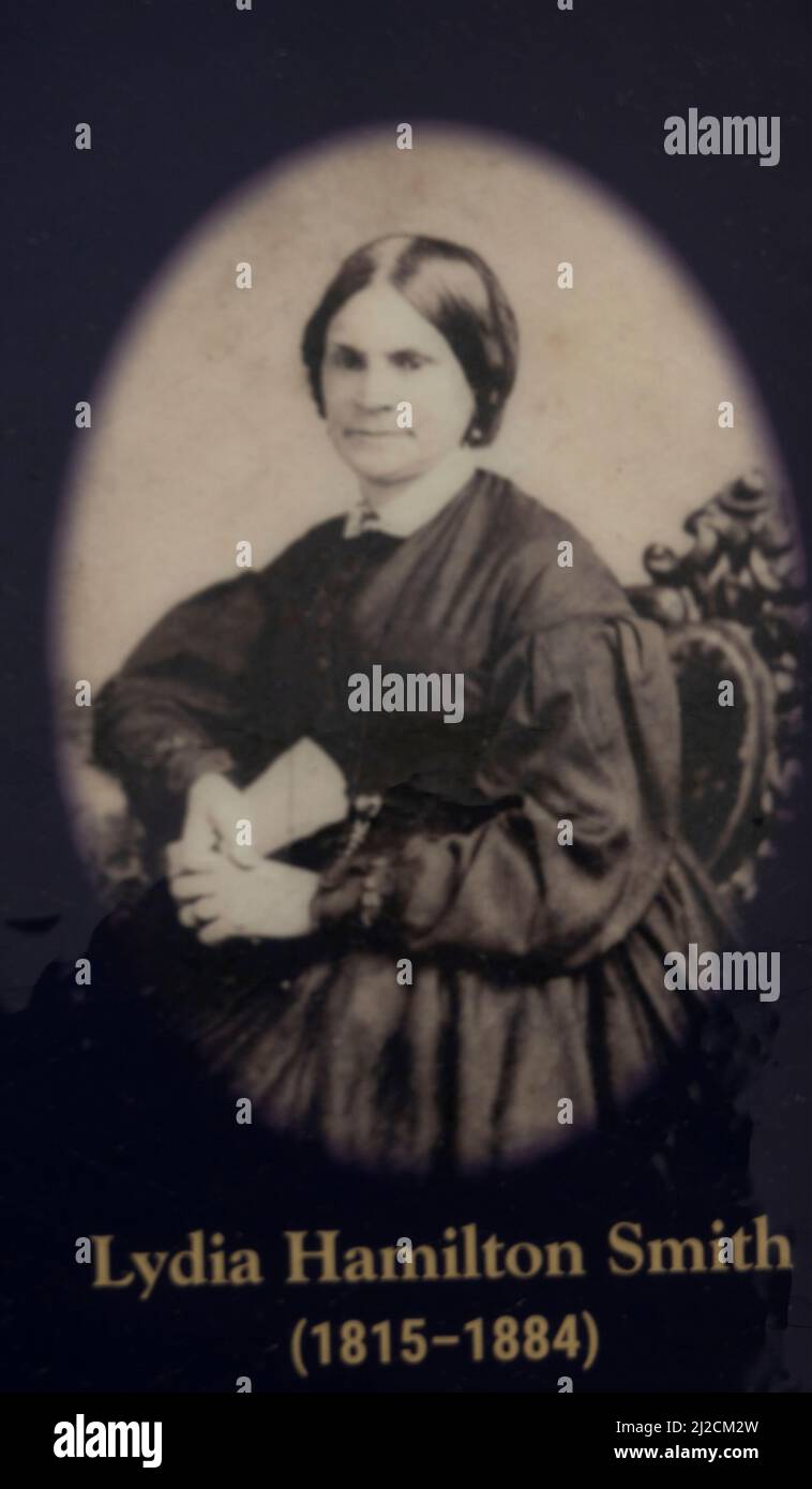 Lydia hamilton smith companion hi-res stock photography and images - Alamy