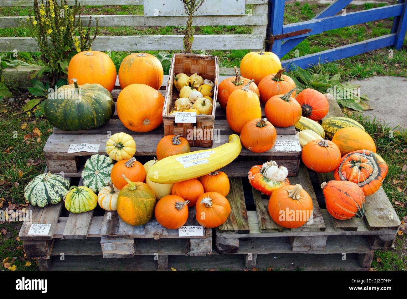 Pumpor hi-res stock photography and images - Alamy