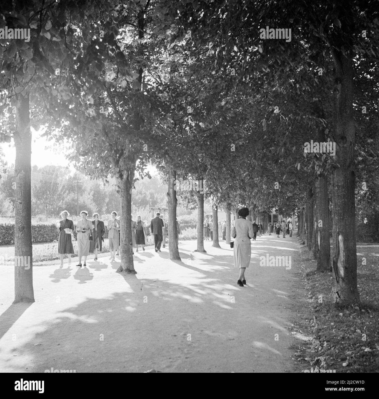 Bad Mergentheim's Kurpark ca: September 1953 aa Stock Photo - Alamy