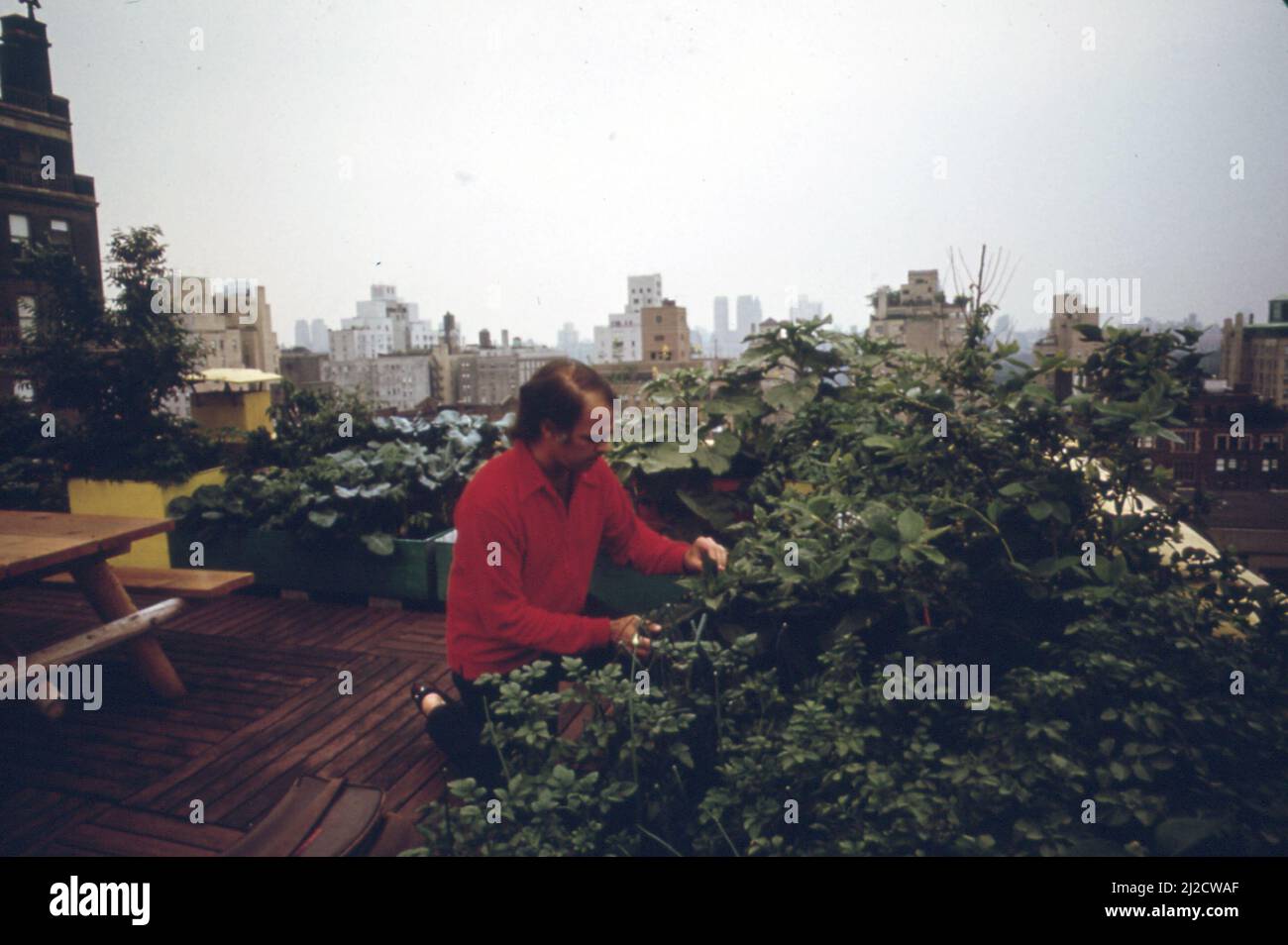 1970s penthouse garden hi-res stock photography and images - Alamy