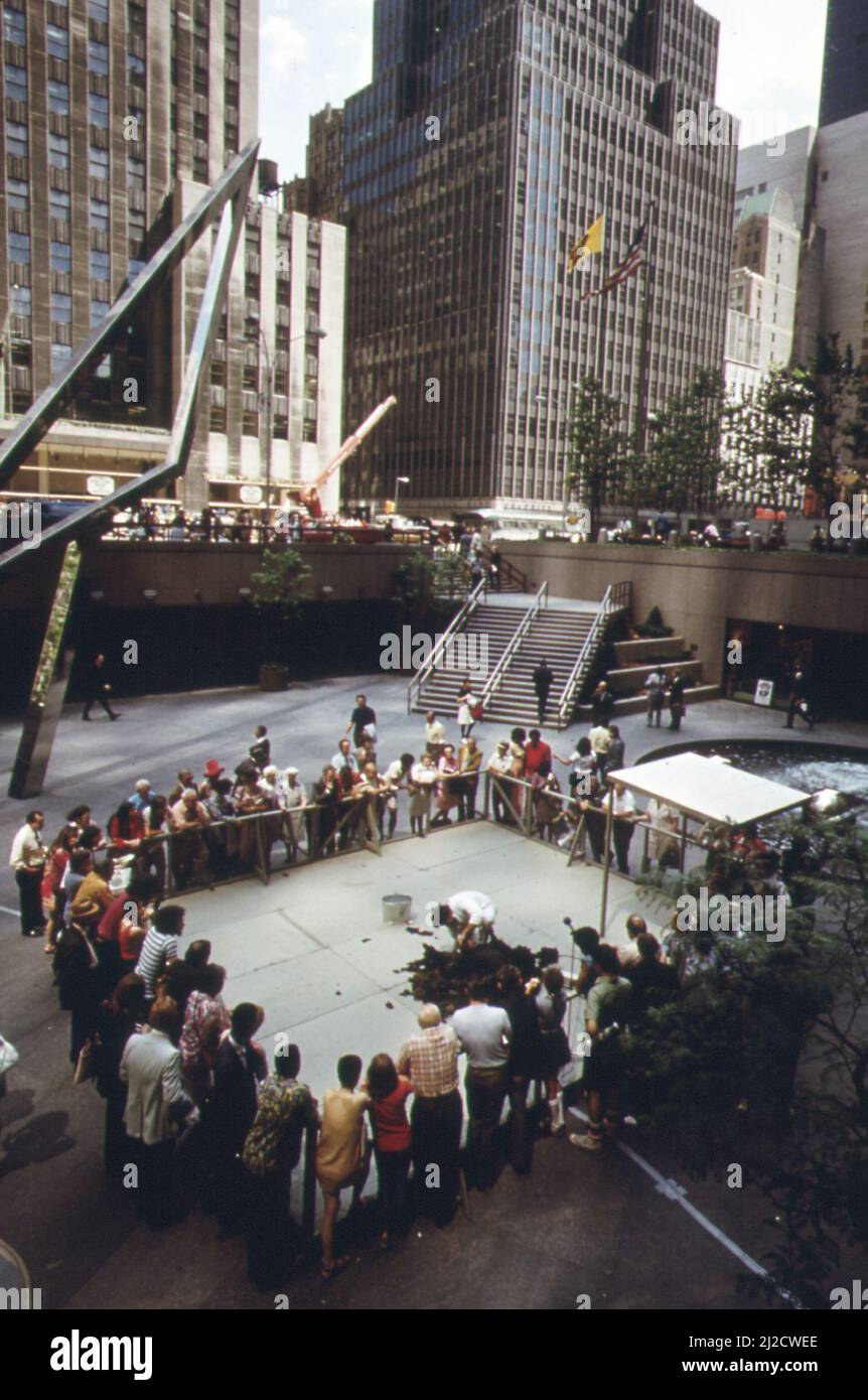 Demonstrating sheepshearing in the sunken plaza of the McGraw-Hill ...