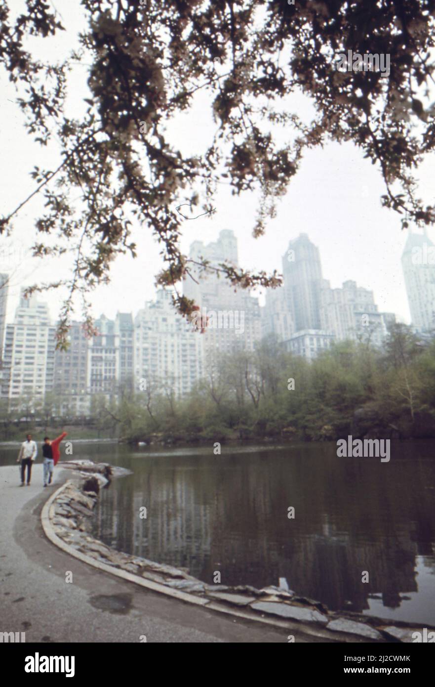 1970s couple pool hi-res stock photography and images - Alamy
