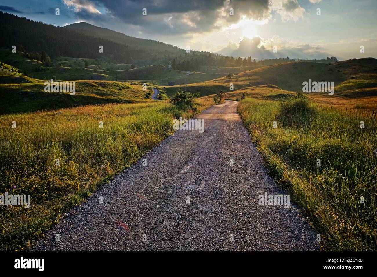 meadow path through the mountains of Durmitor National Park at the ...