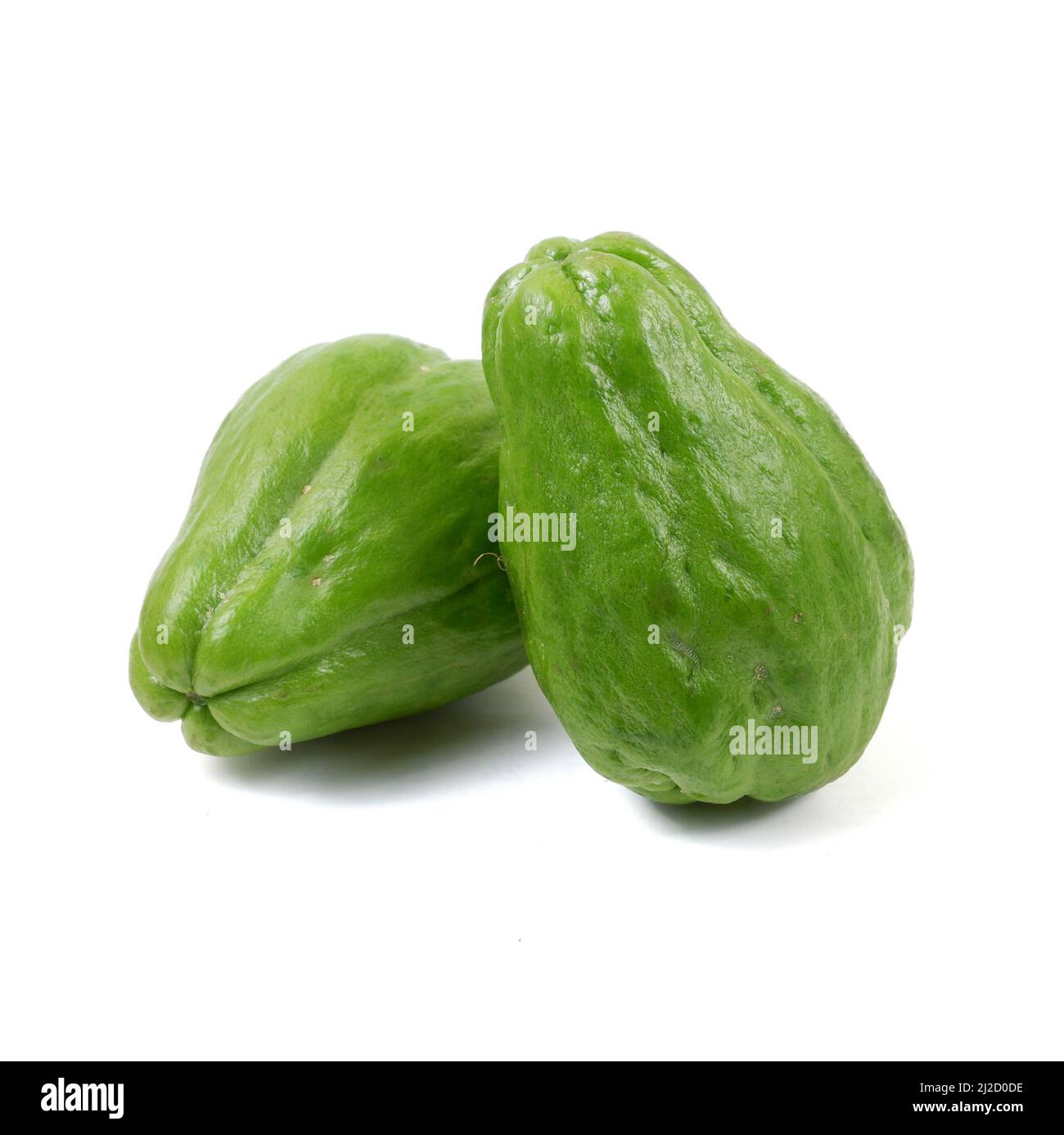 A closeup of fresh green chayote fruits isolated on a white background ...