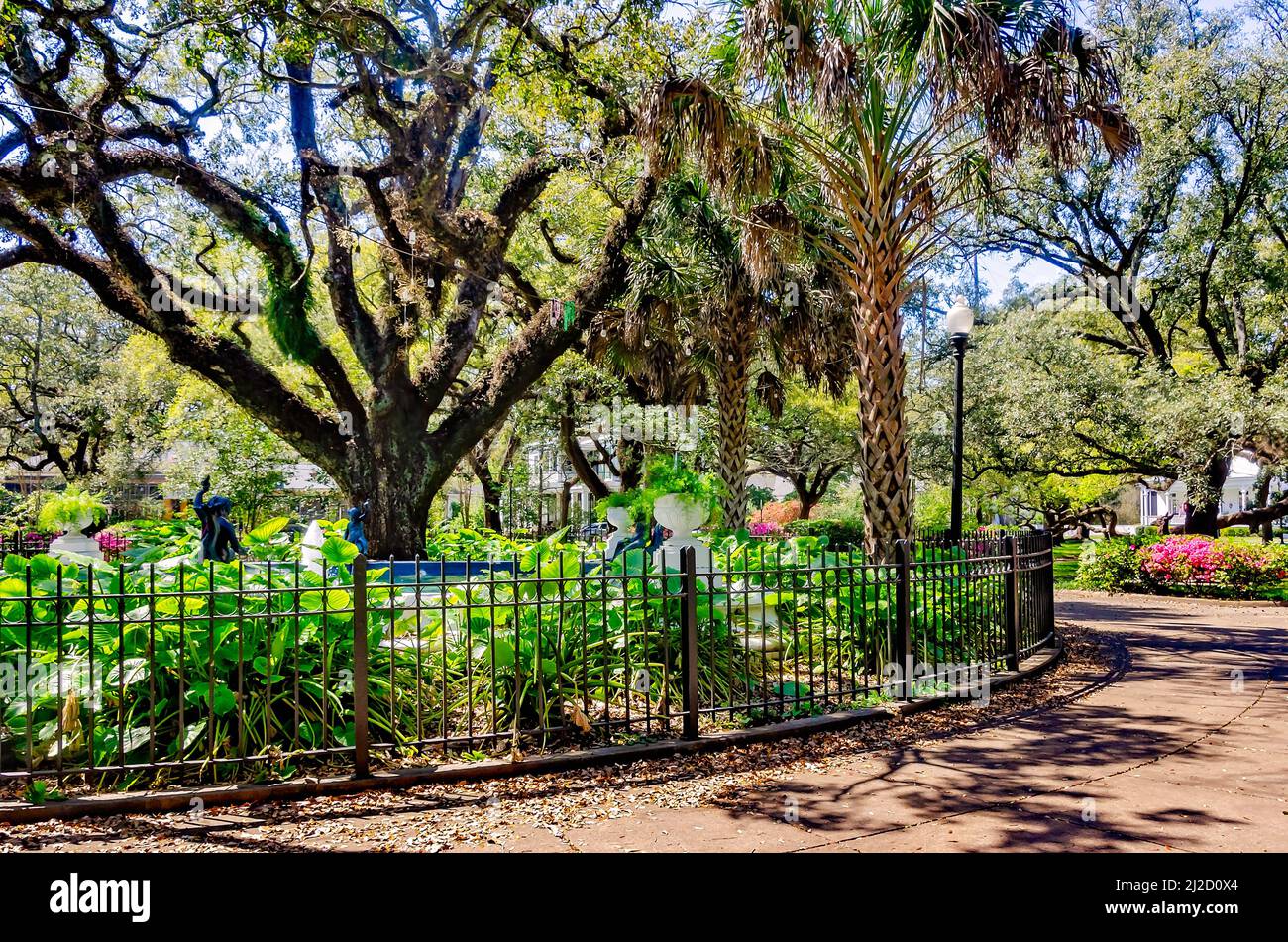 Live oak trees, azaleas, and other plants create a lush landscape in ...