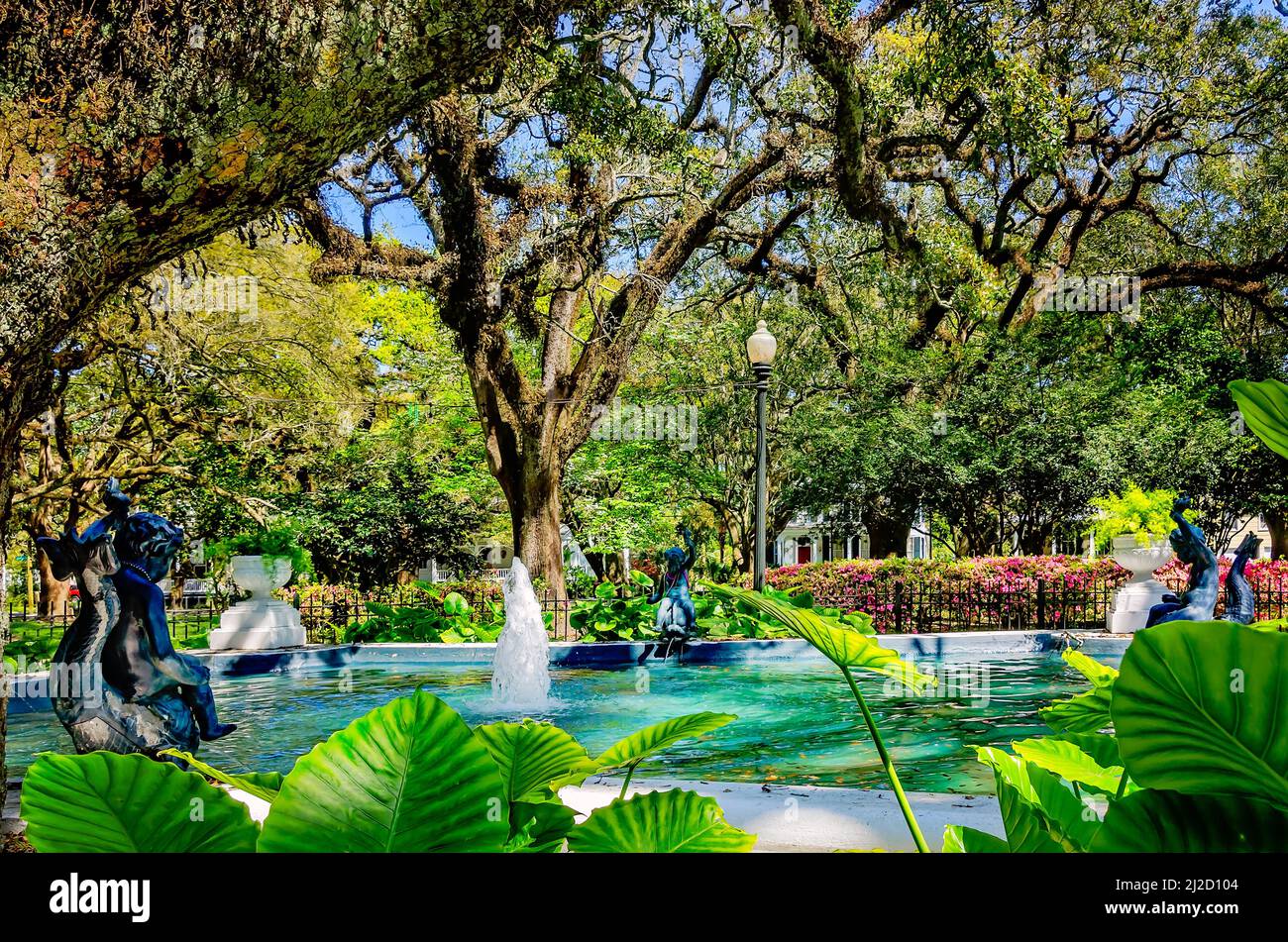Live oak trees, azaleas, and other plants surround the fountain in ...