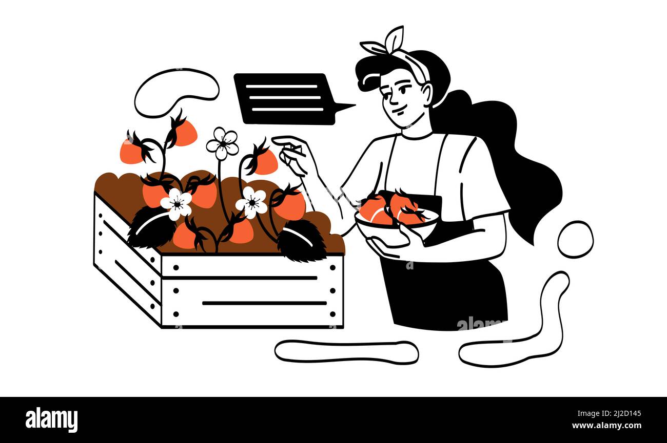 People picking harvest Stock Vector Image & Art - Alamy