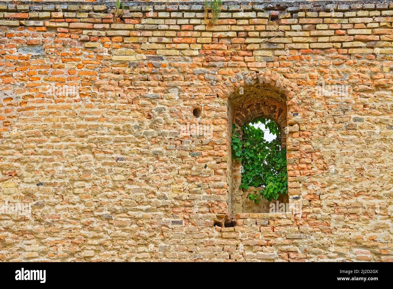 Ilok danube hi-res stock photography and images - Alamy