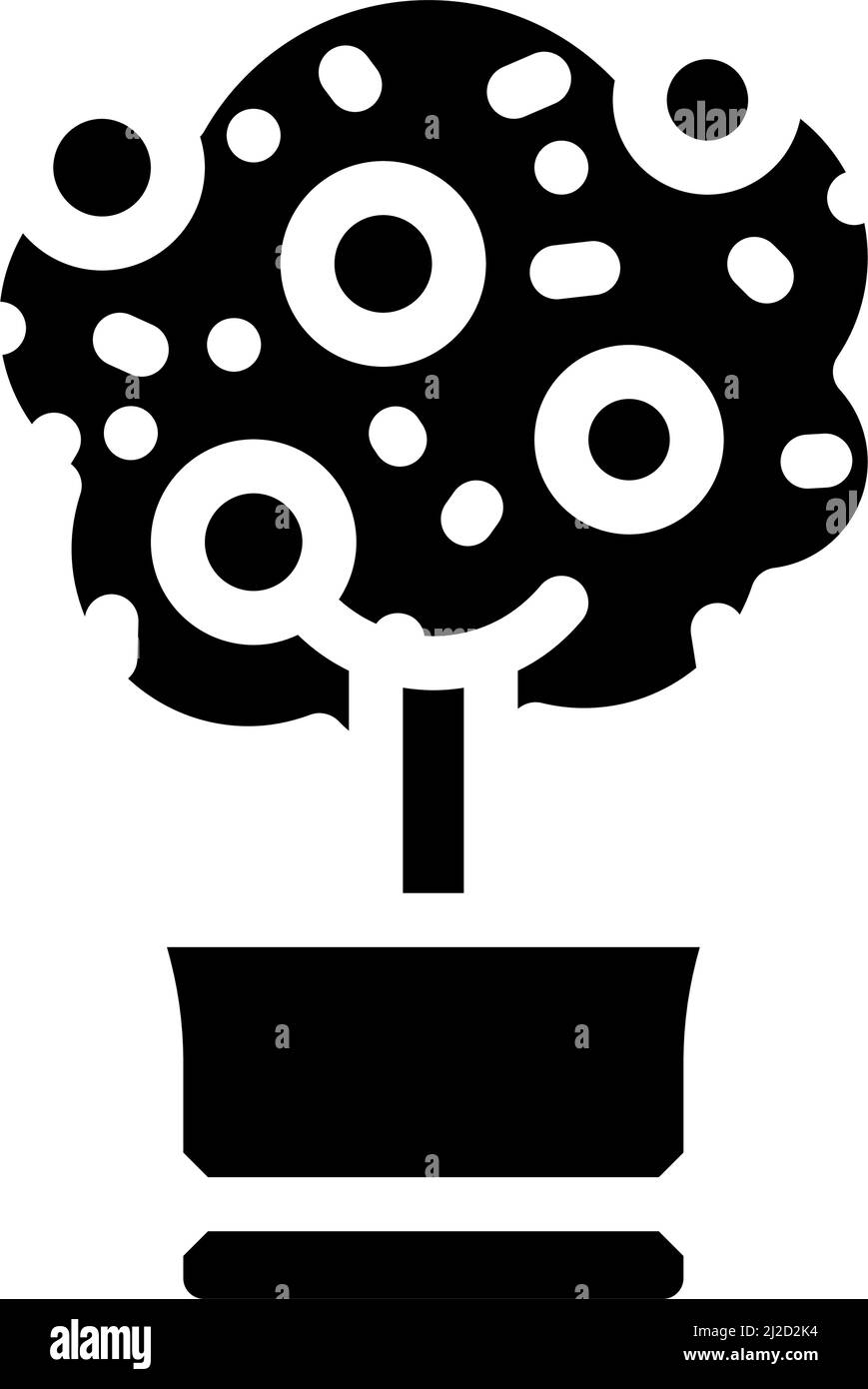 Buxus sempervirens box tree Stock Vector Images - Alamy