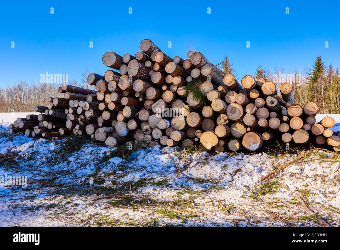 Deforestation finland hi-res stock photography and images - Alamy