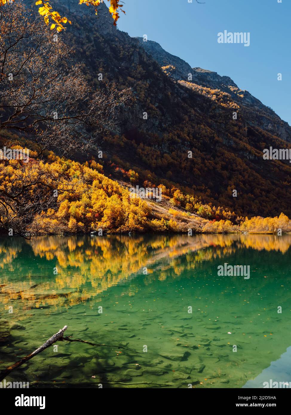 Mountain transparent lake with crystal fresh water, reflection and autumnal trees Stock Photo ...