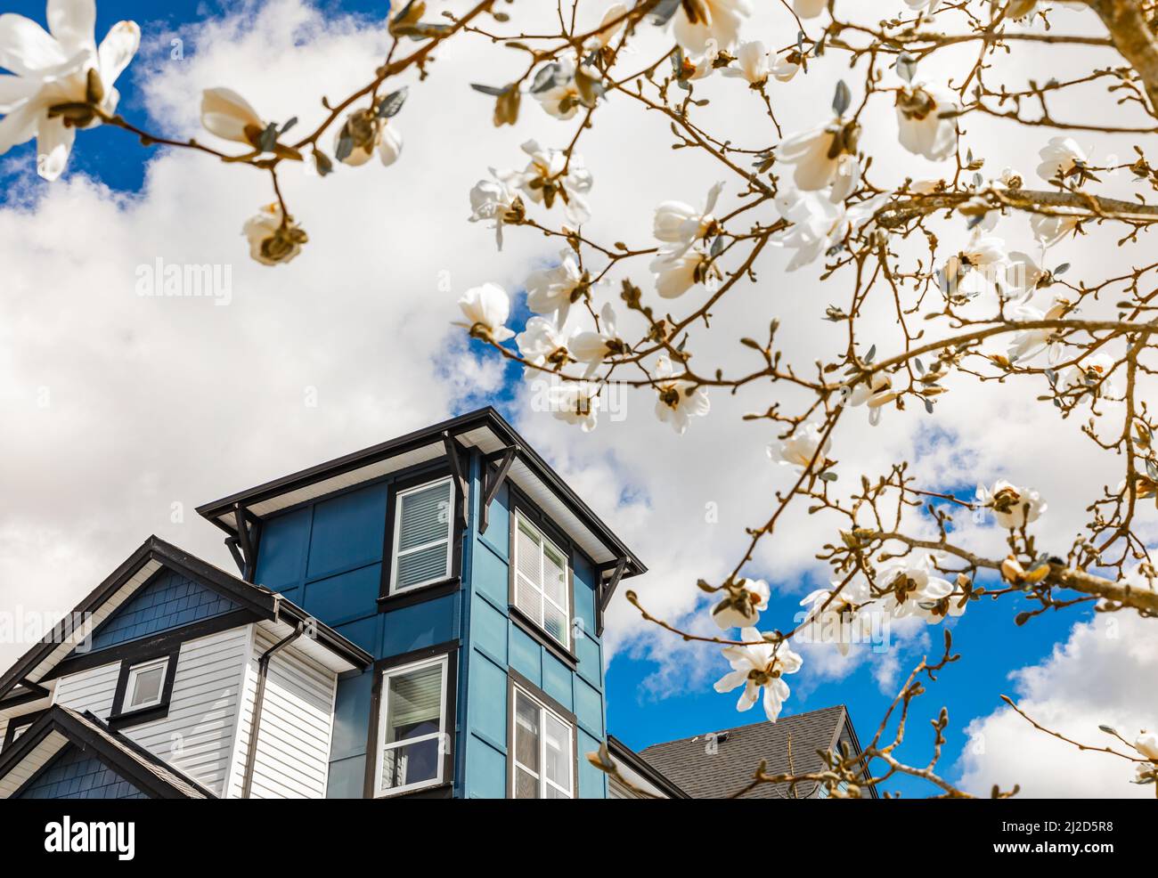 Neighborhood modern houses with spring flowers in BC, Canada. Canadian ...
