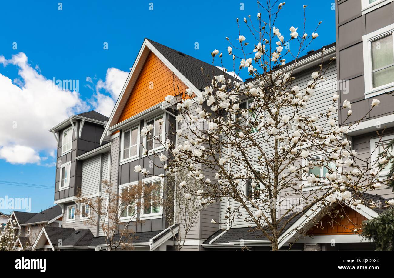 Neighborhood modern houses with spring flowers in BC, Canada. Canadian ...