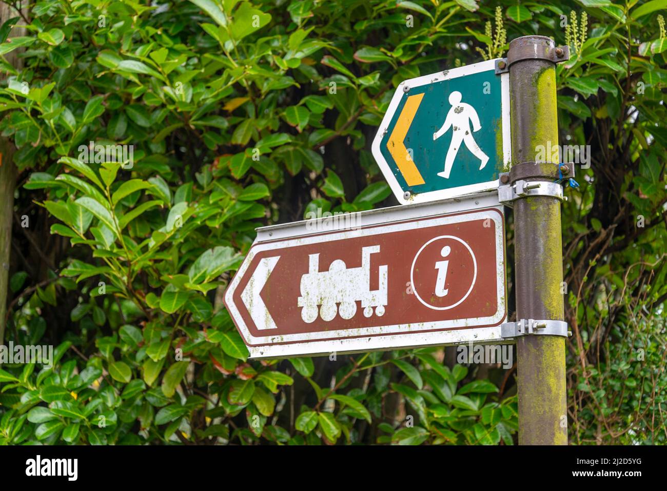 Symbol of wales hi-res stock photography and images - Alamy