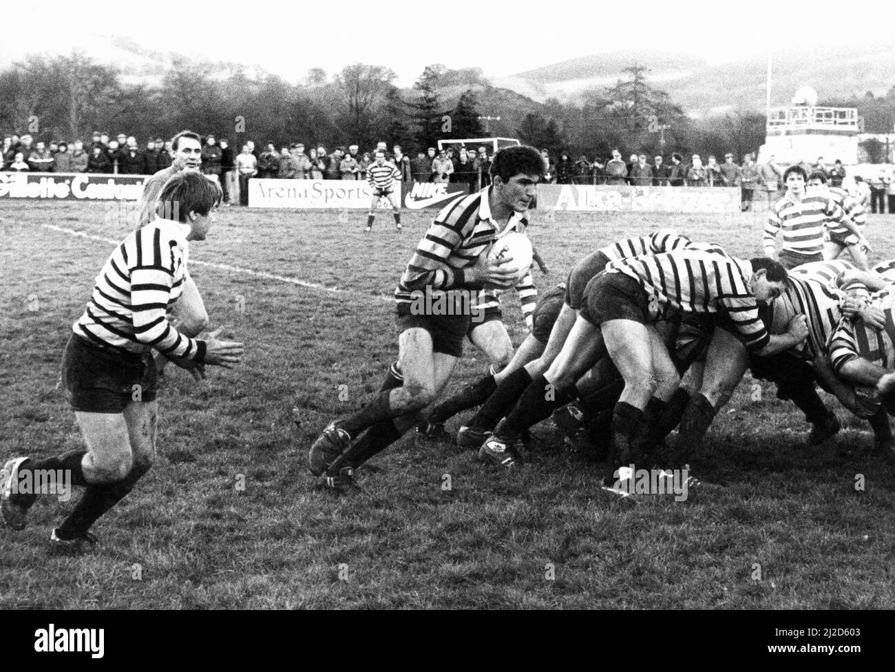 Welsh rugby 1980s hi-res stock photography and images - Alamy