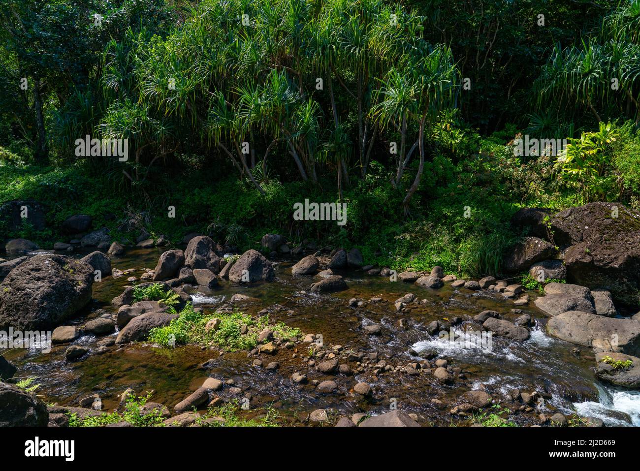 Jungle island photos hi-res stock photography and images - Alamy