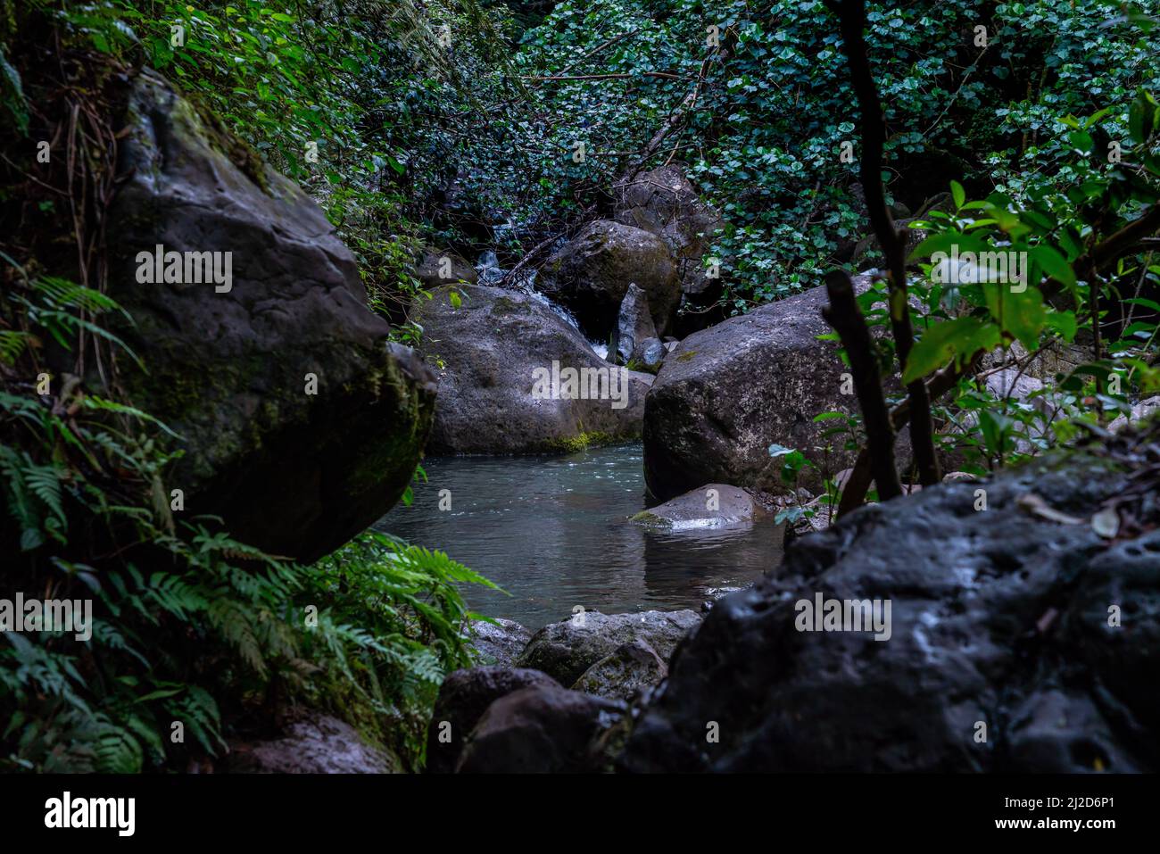 Jungle island photos hi-res stock photography and images - Alamy