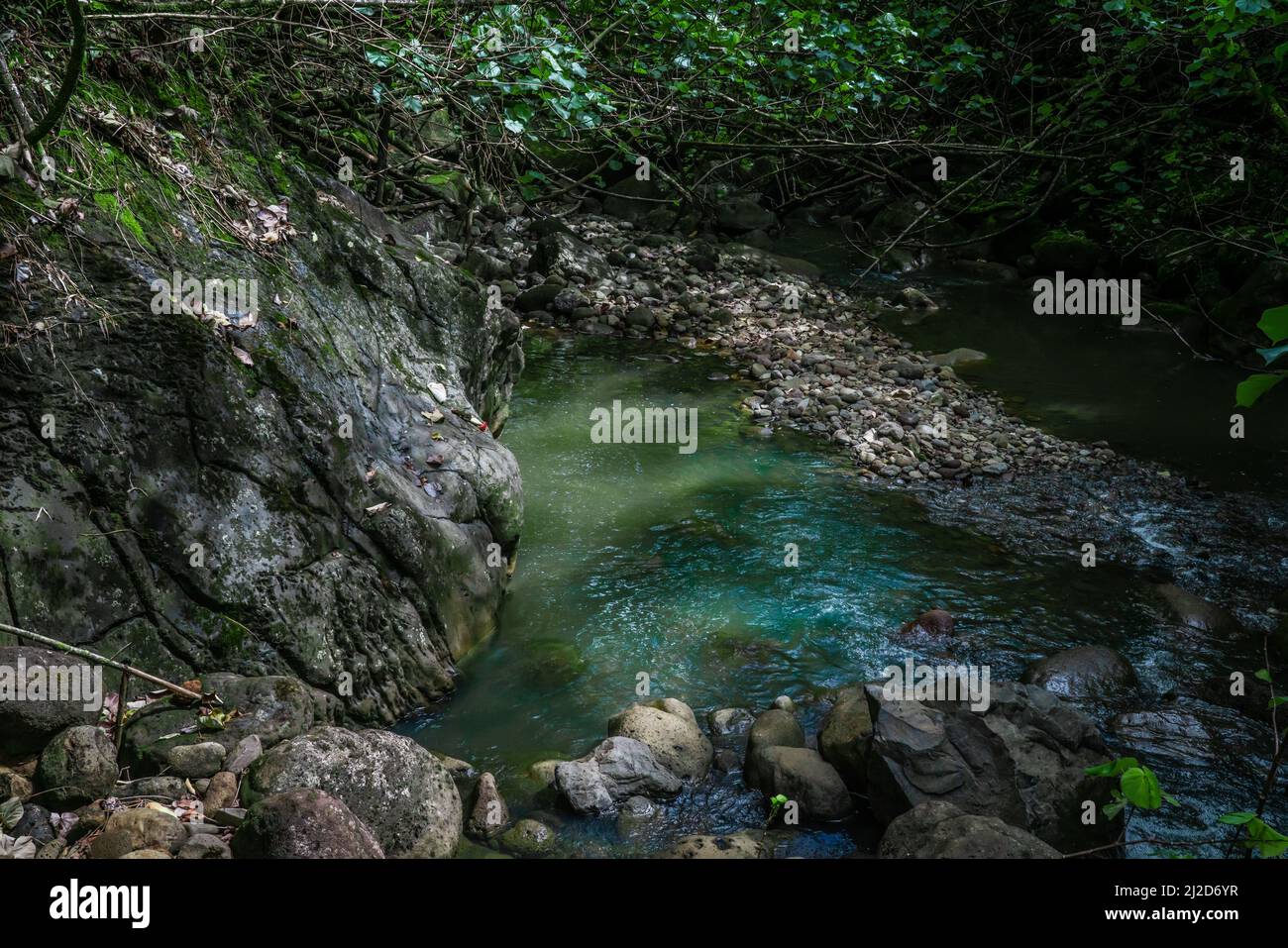 Jungle island photos hi-res stock photography and images - Alamy