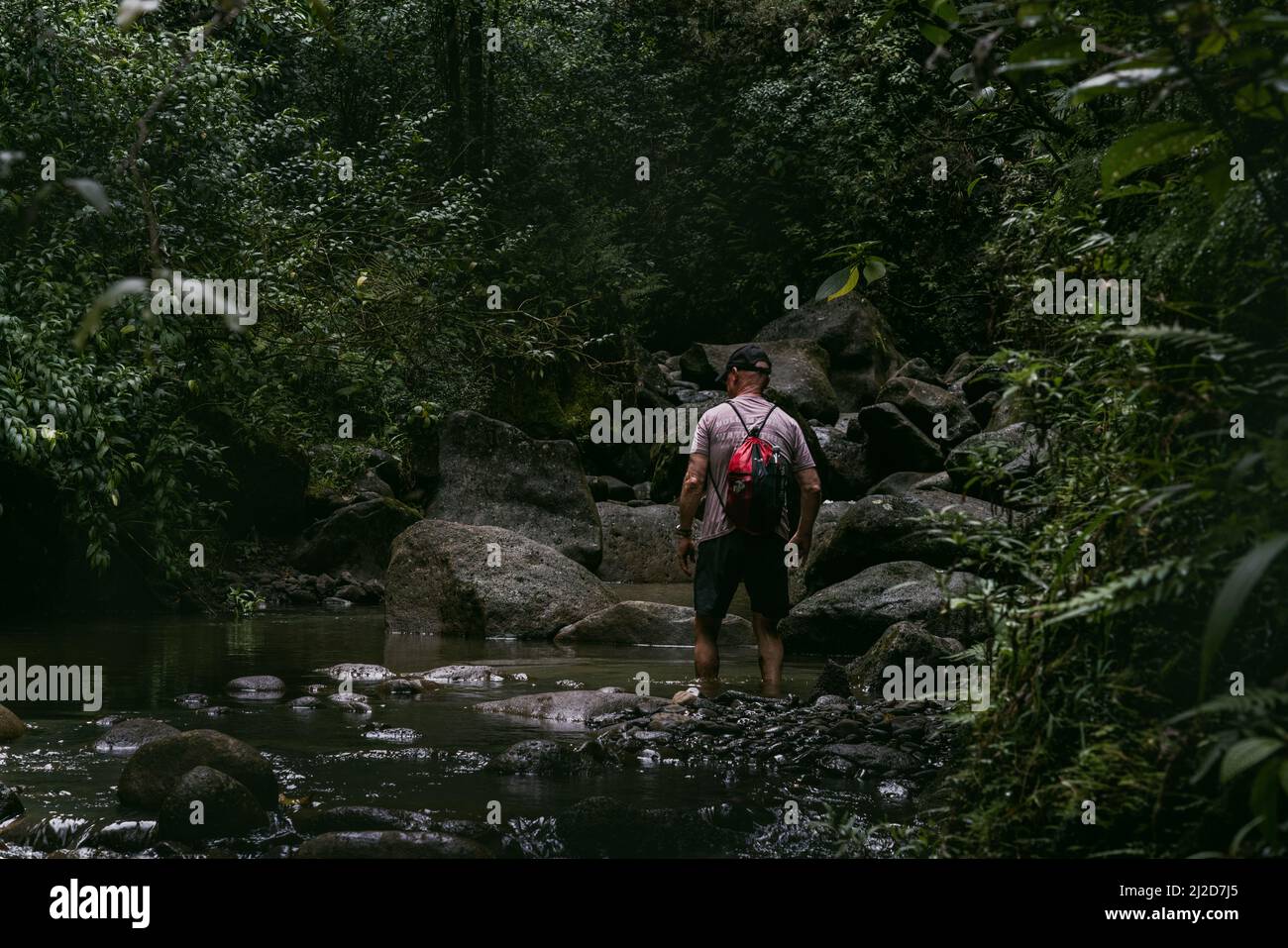 man explores deep in jungle Stock Photo - Alamy