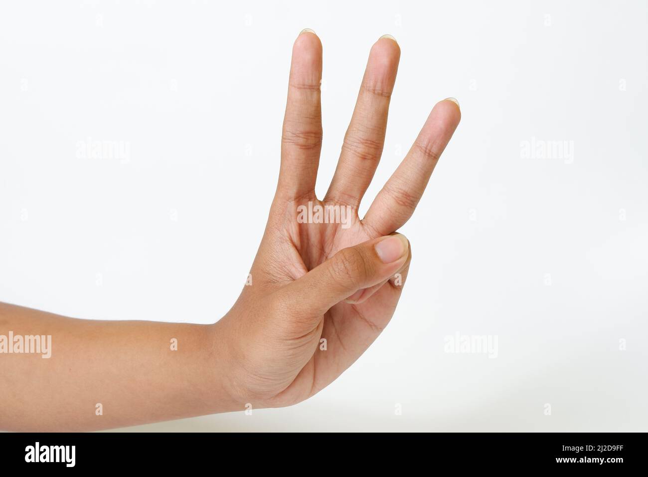 An adult female hand showing three fingers or the number three isolated on a white background ...