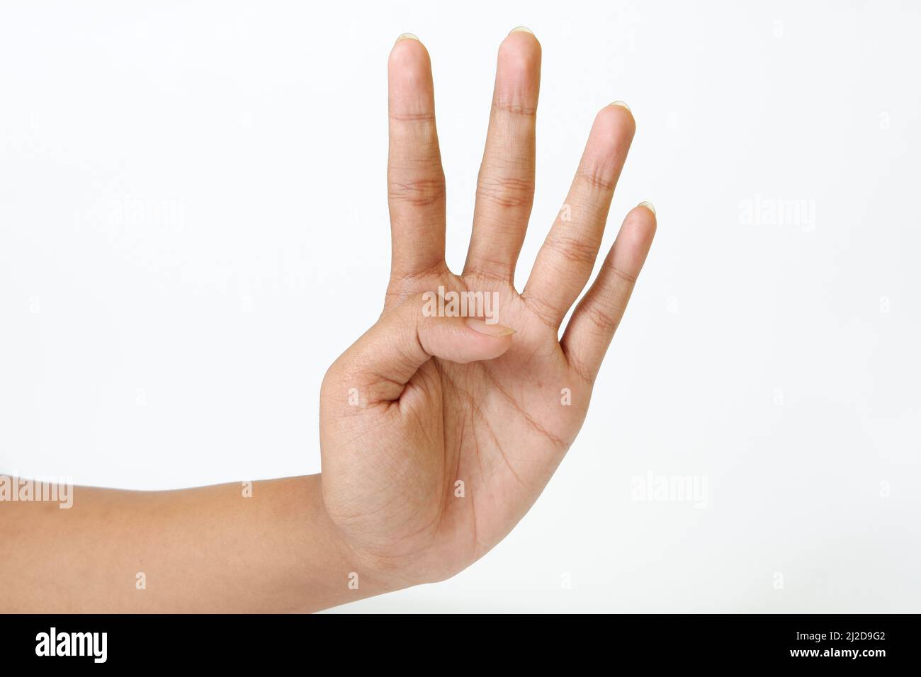 An adult female hand showing four fingers or the number four isolated ...