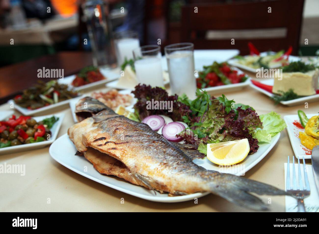 Grilled perch fish (Turkish: Levrek) with appetizer foods and anisette ...