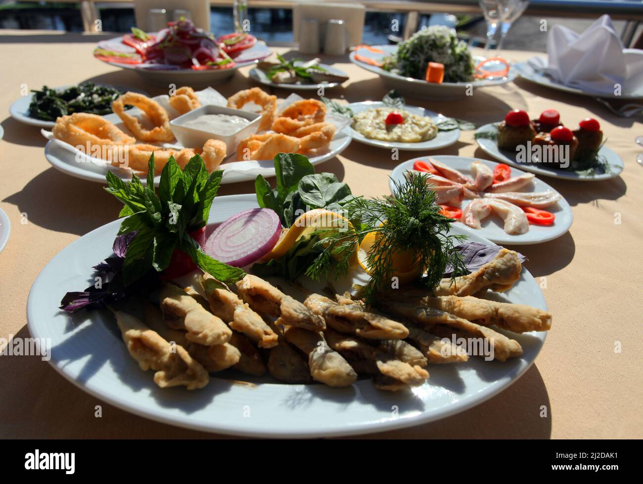 Turkish sea foods and Turkish appetizer foods on the restaurant table ...