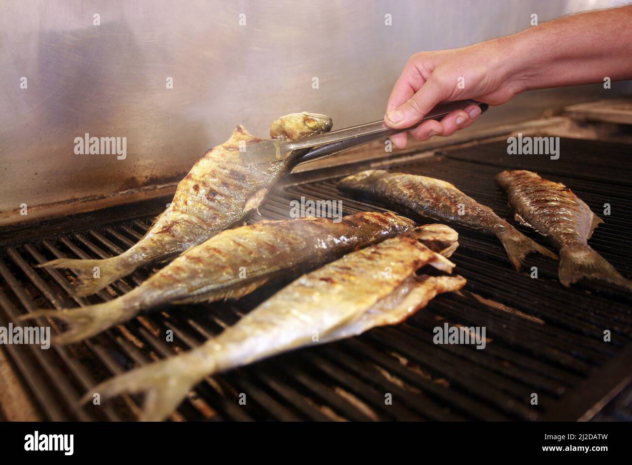 Bluefish (Turkish: Cinekop-Lufer) cooked on the barbecue Stock Photo ...