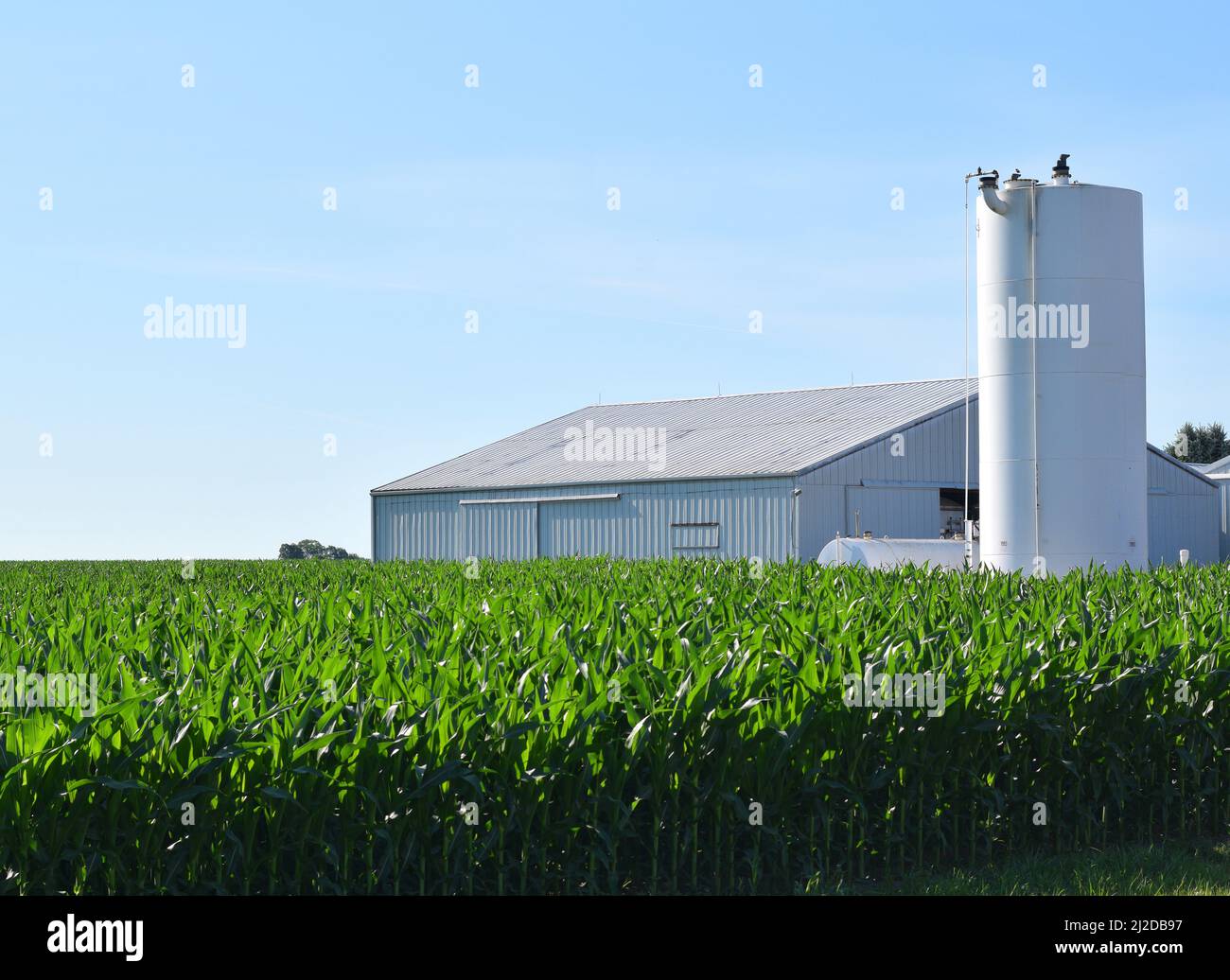 Arthur field hi-res stock photography and images - Alamy