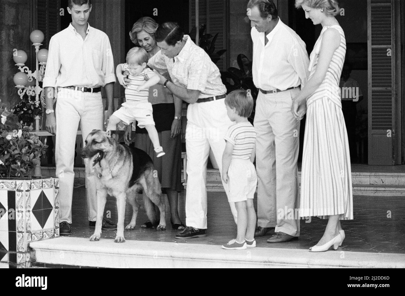 Prince Harry befriends the family dog. Rest of this picture set : HRH ...
