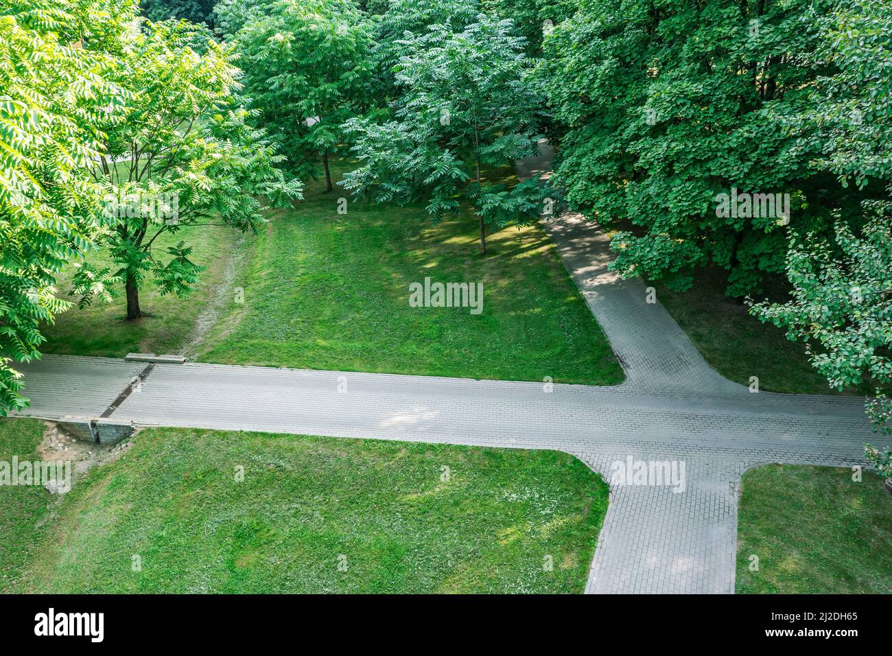 city public park with footpaths, lawn and green trees at summer morning ...