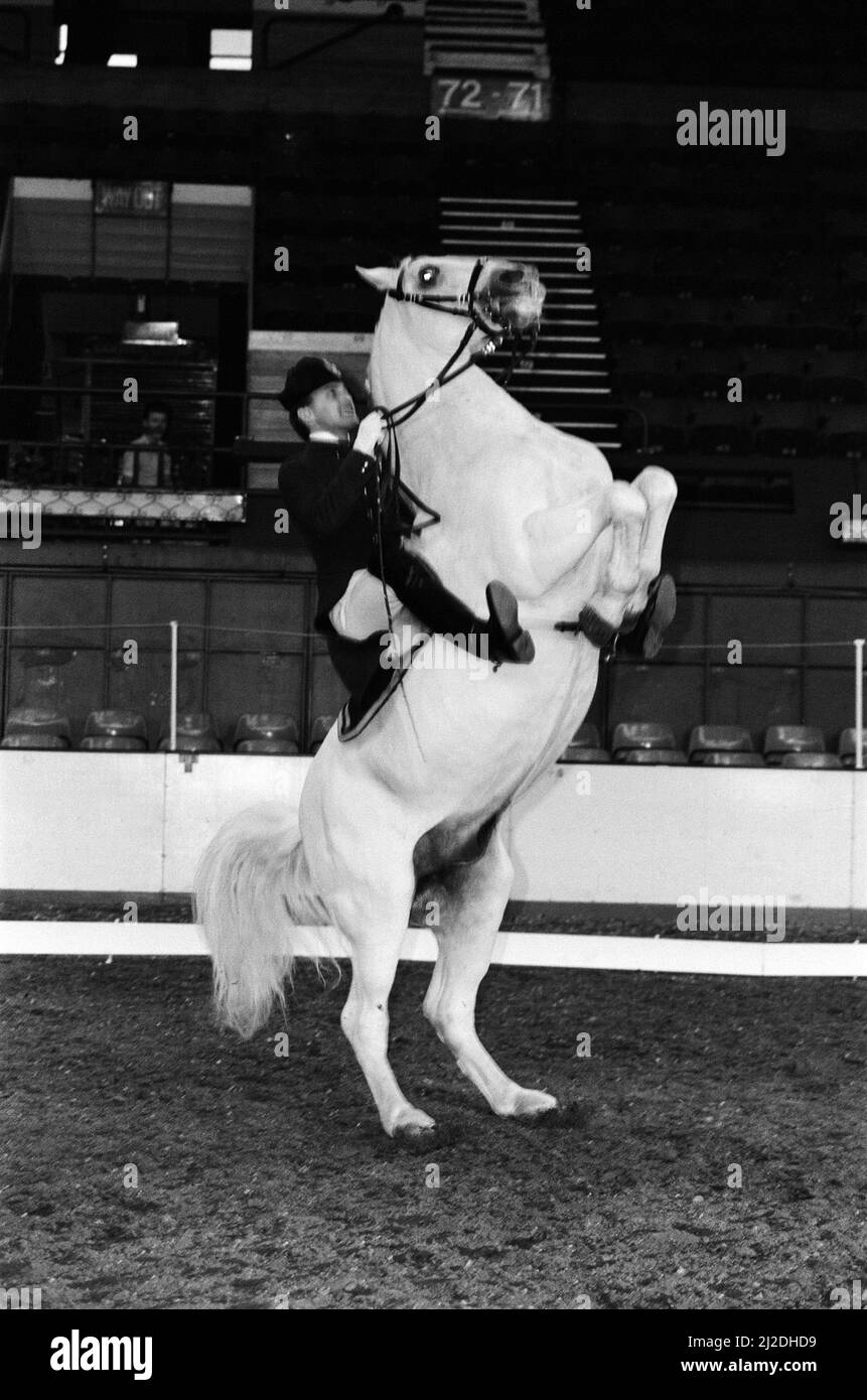 The Spanish Riding School of Vienna rehearsing their classical art of ...